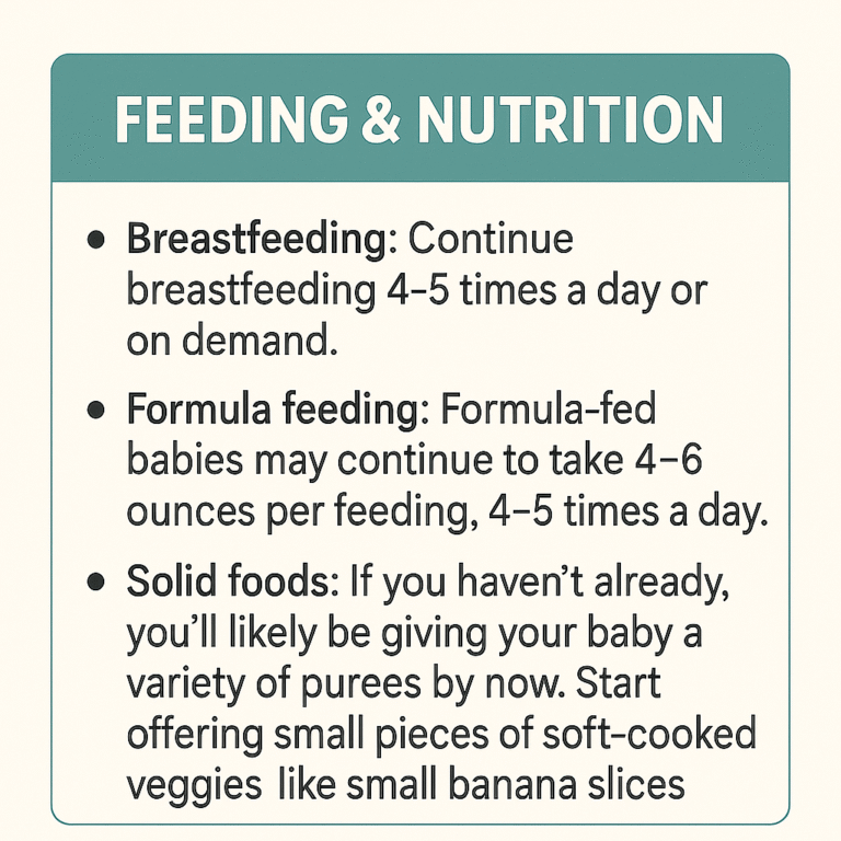What to Expect at 7 Month : Baby Development, Growth & Care